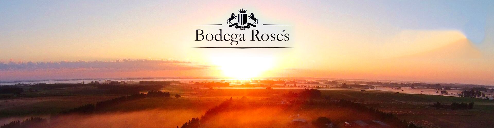 Rosés - Vinos - Tilsen Distribuciones